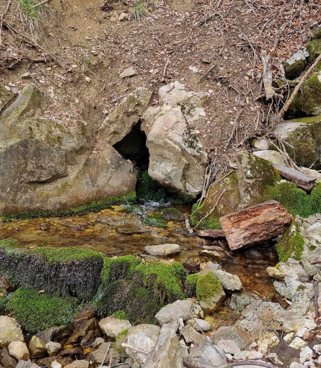 Izvorska voda. Bivanje u biti. | Studio Martina & Natura